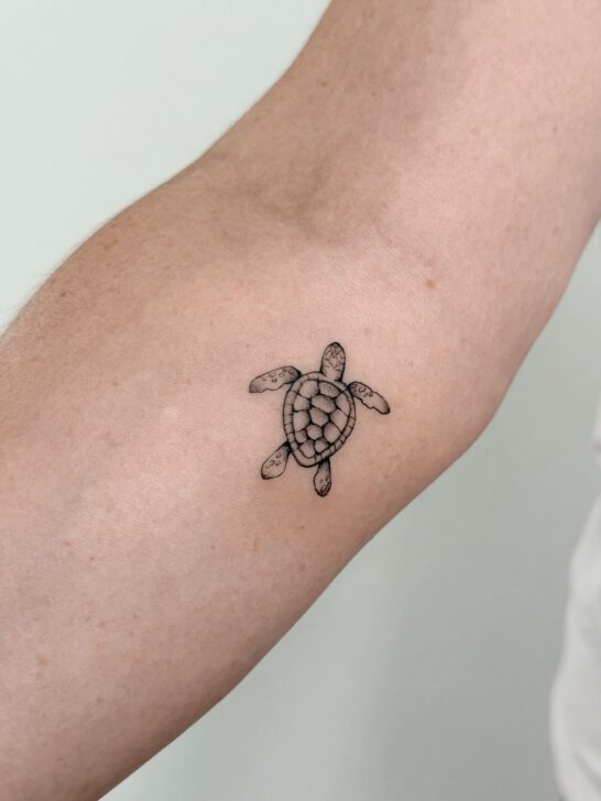 50+ Meaningful Sea Turtle Tattoo Ideas for Ocean and Nature Lovers
