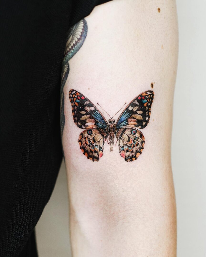 80+ Butterfly Tattoo Designs That Are Beautiful, Stylish, and Unique